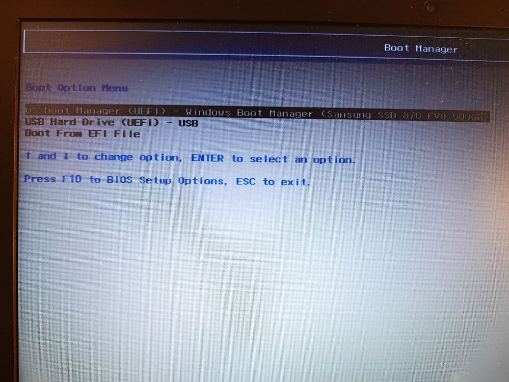 Aiuto avvio chiavetta USB di Linux Mint in Windows 10 (voglio fare dual boot) - Assistenza Linux ...